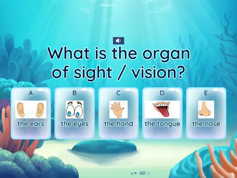 Sense organs - Quiz