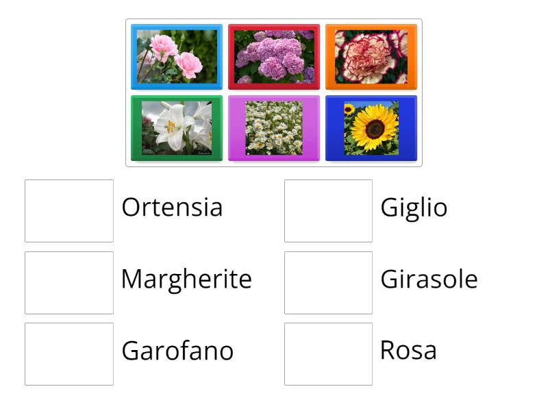 collega i nomi alle immagini - Match up