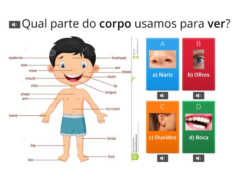 Conhecendo o Corpo Humano - Quiz