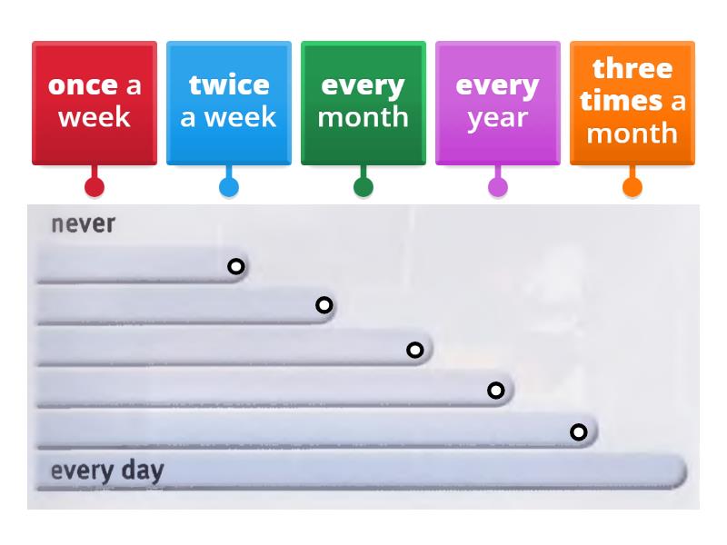 How often + Present Simple + time expressions - Labelled diagram