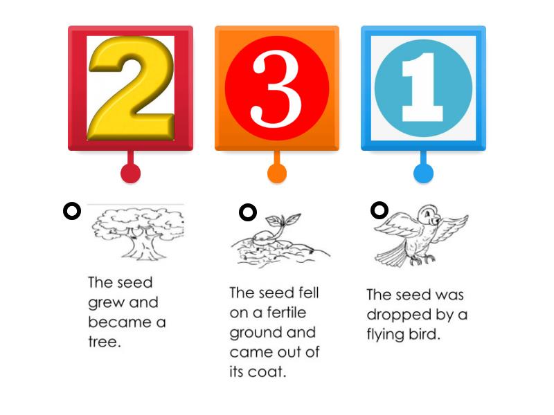 Arrange Me! - Labelled diagram