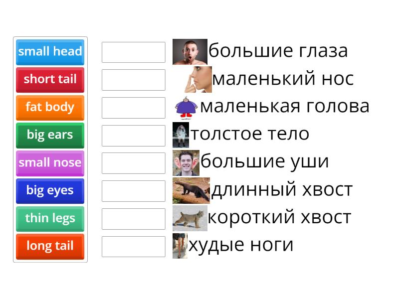 Spotlight 3 Module 5 9a - Match up