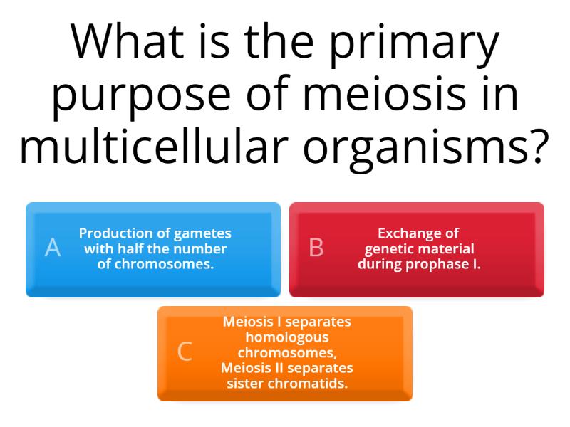 meiosis - Quiz