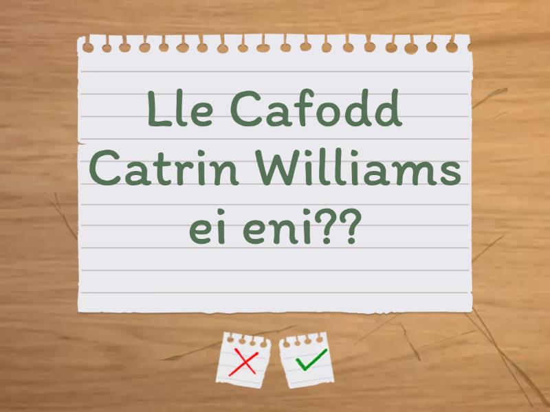 Catrin Williams - Flash cards