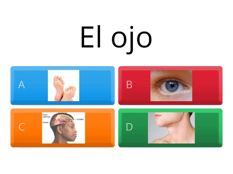 Las partes del cuerpo - Quiz