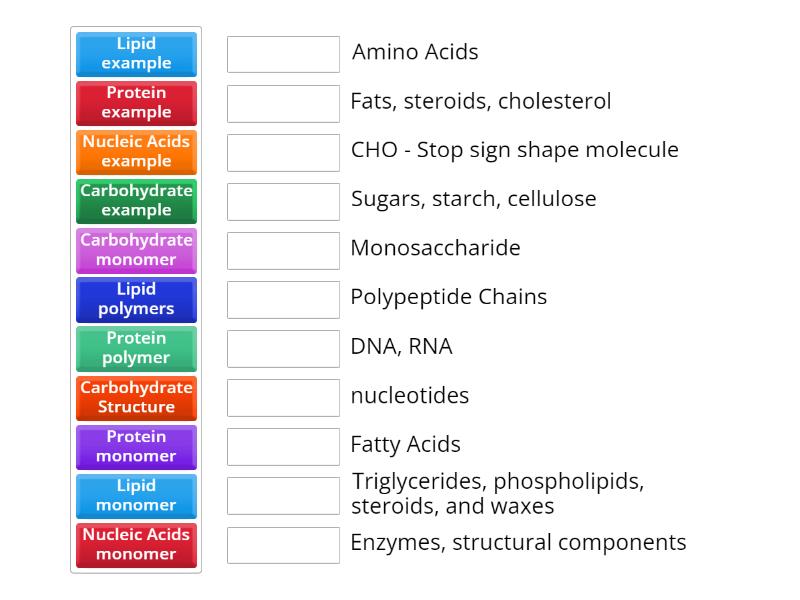 Macromolecules matching game - Match up