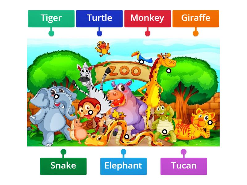 Zoo animals - Labelled diagram