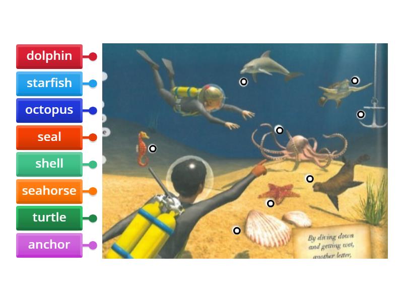 Under the sea diagram - Labelled diagram