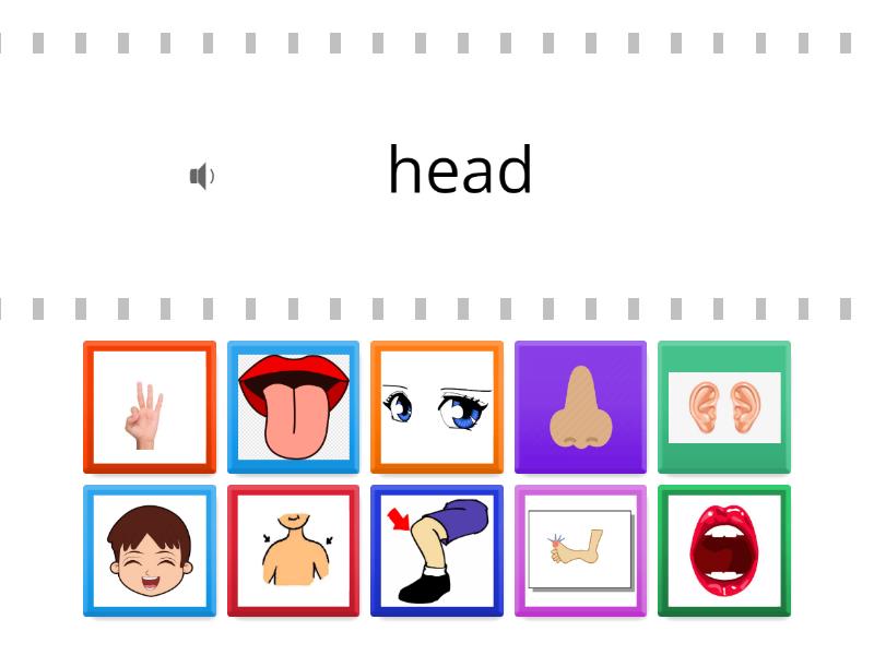 Body Parts. - Find the match