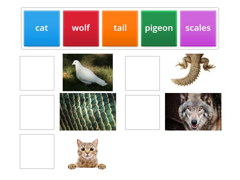 Game Project - Match up