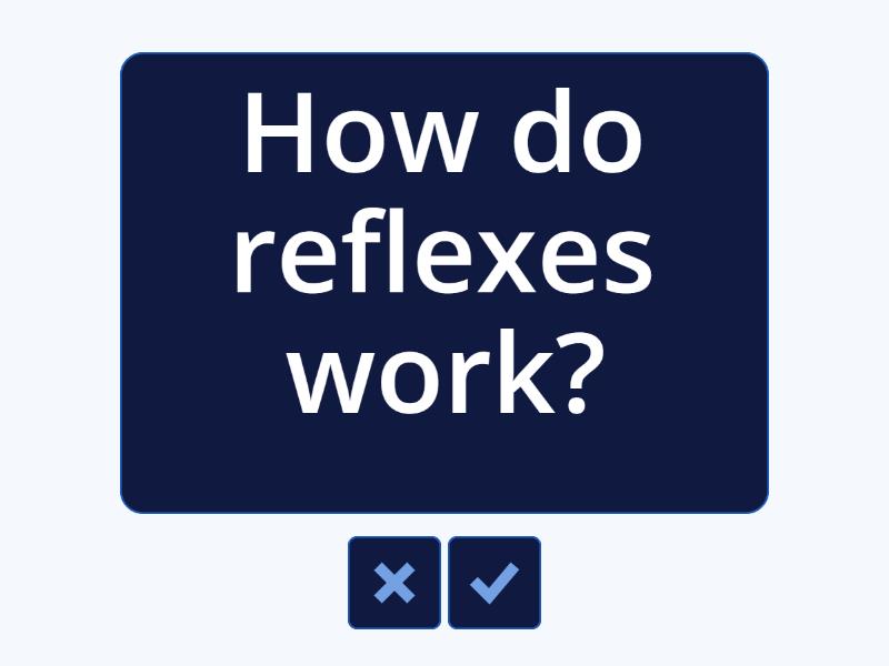 Main 6th grade Quarter 1 - Flash cards