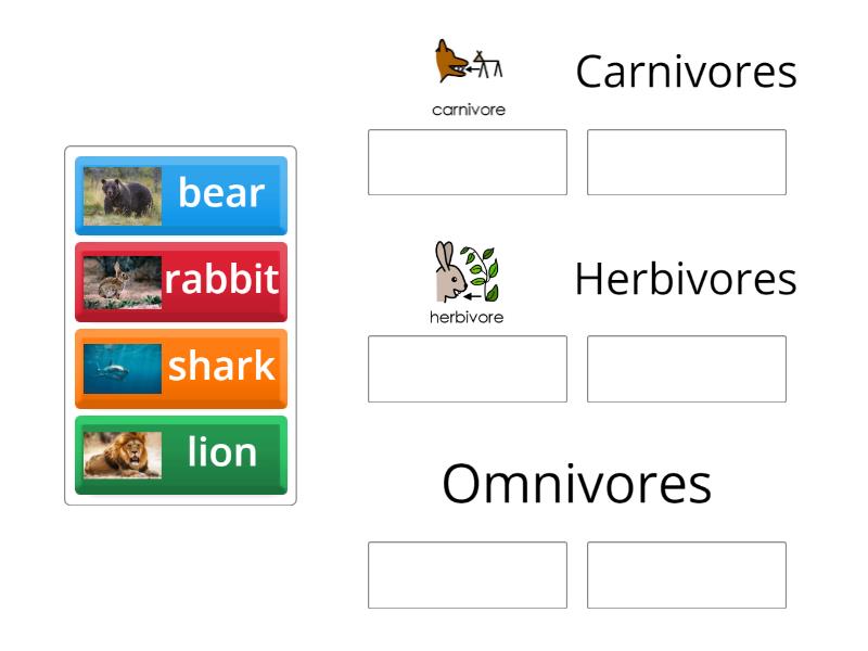 Carnivores, Herbivores & Omnivores - Group sort