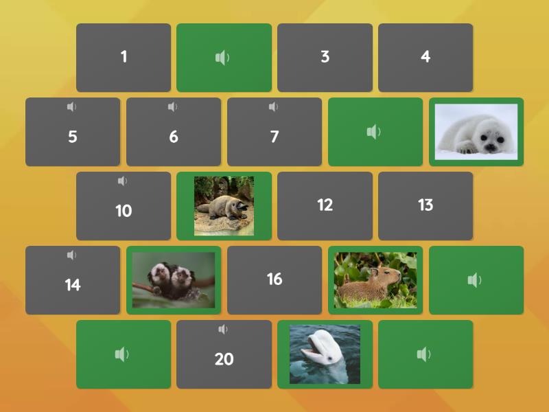 Mammals Memory Game - Matching pairs