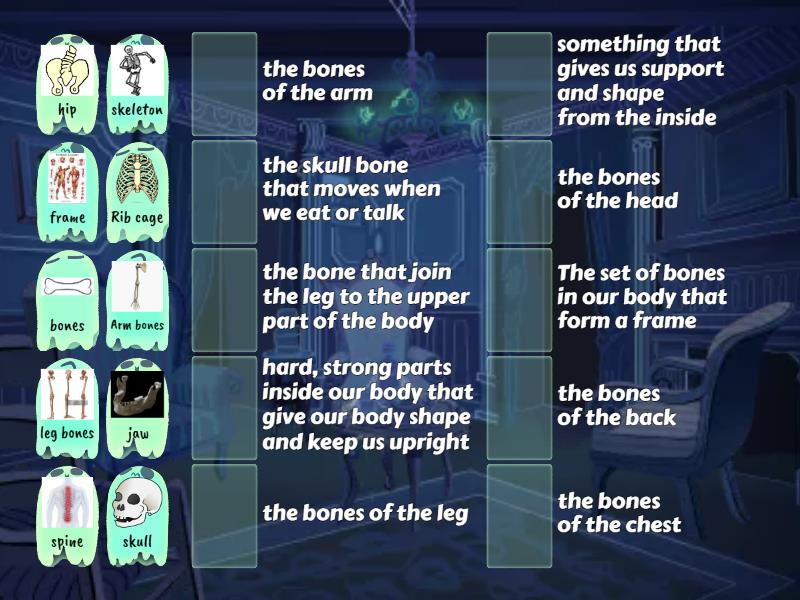 Grade 3 Science-Skeleton-Definition match - Match up