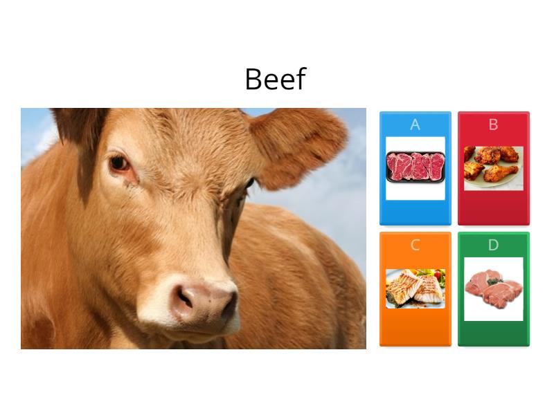 Meat Quiz - Cuestionario