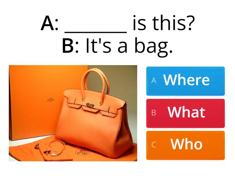 WHERE, WHAT, AND WHO QUESTIONS - Quiz