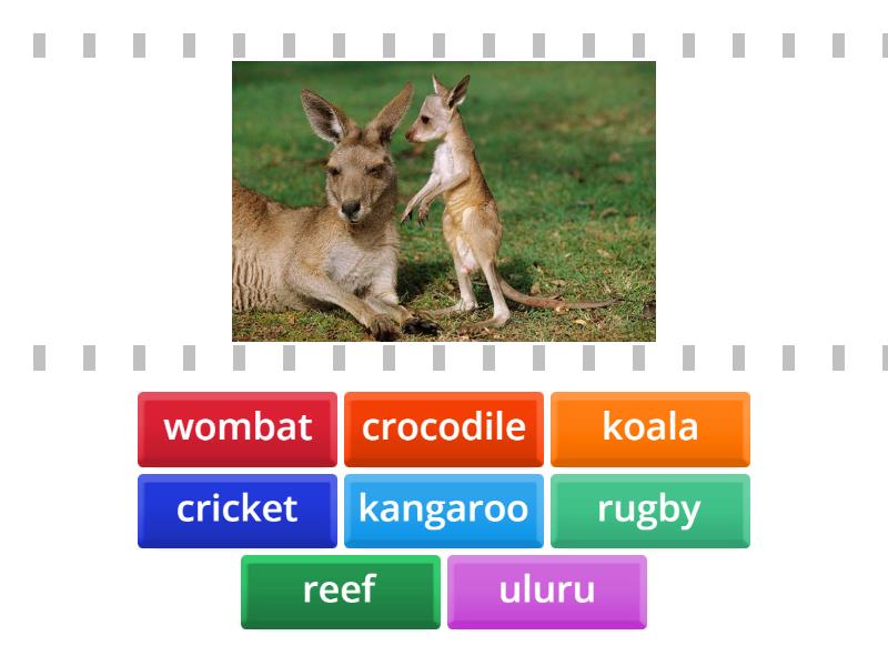 Aussie Quiz - Find the match