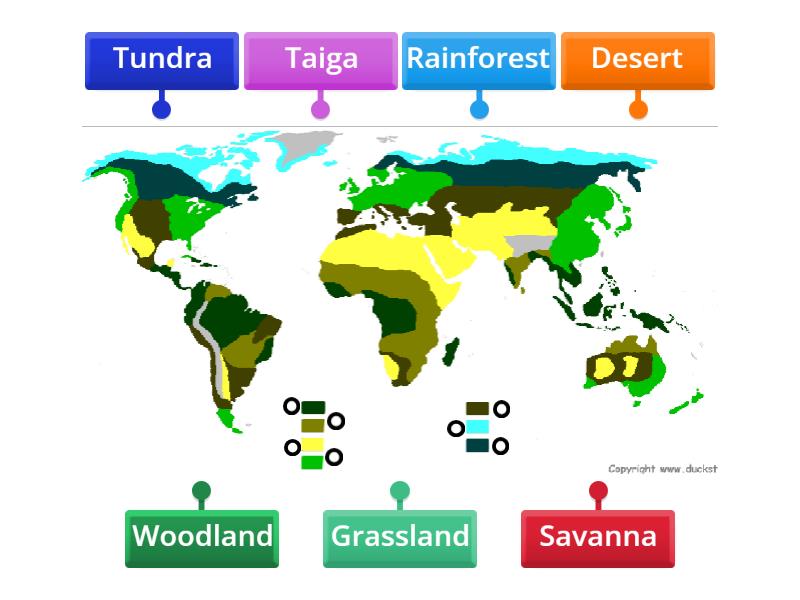 Ecosystems 2 - Labelled diagram