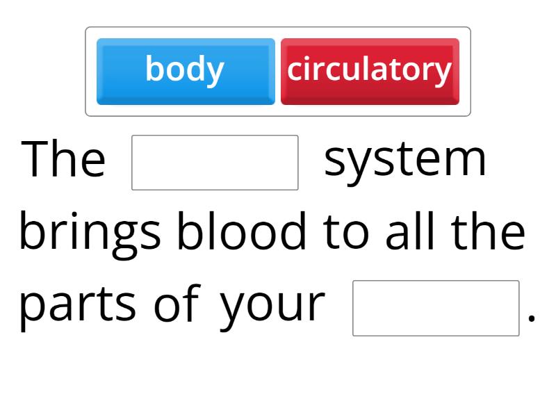 Circulatory system - Complete the sentence