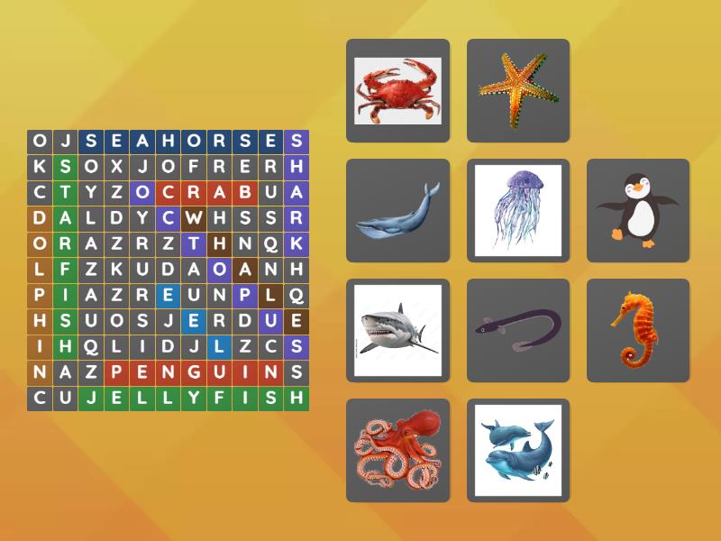 AS3 Unit 6 Lesson 1.4 - Wordsearch