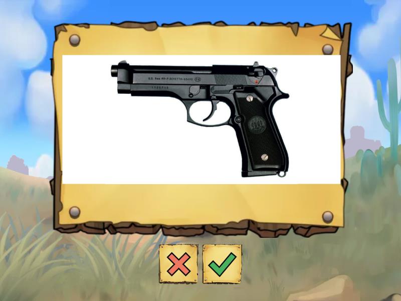 SM 5 Unit 5 wild west - Flash cards