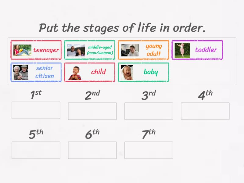 Stages of Life - Rank order