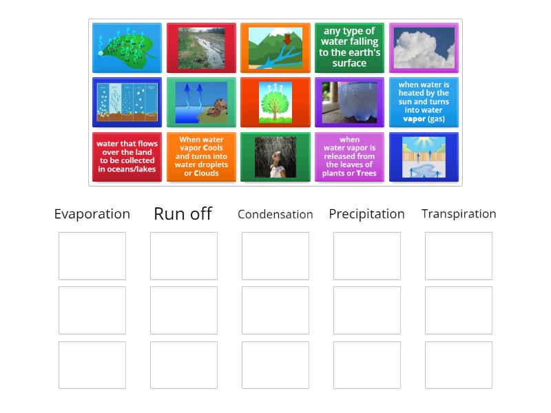 Water Cycle Vocabulary - Group sort