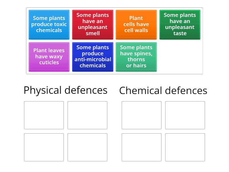 Chemical and physical defences of plants - Group sort