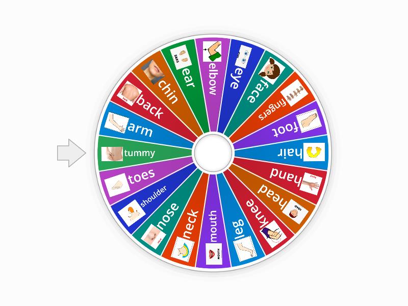 Body parts Wheel - Spin the wheel