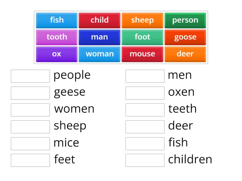 Irregular Singular and Plural Nouns - Match up