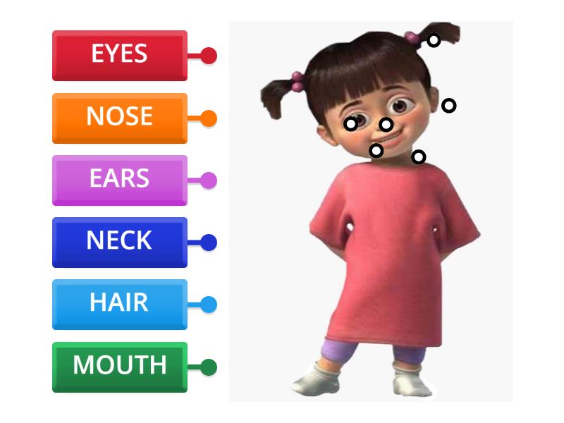 Boo - Labelled diagram