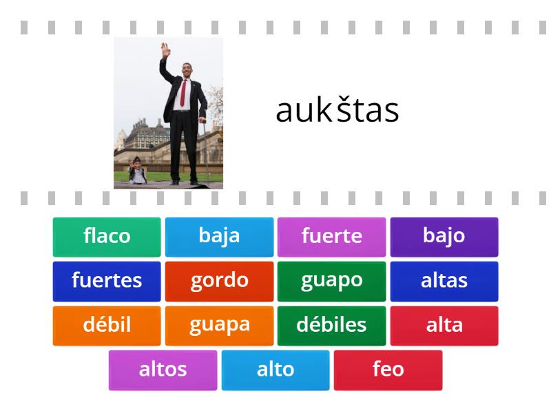 Adjetivos descriptivos (masculine, feminine, plural, singular) - Find ...