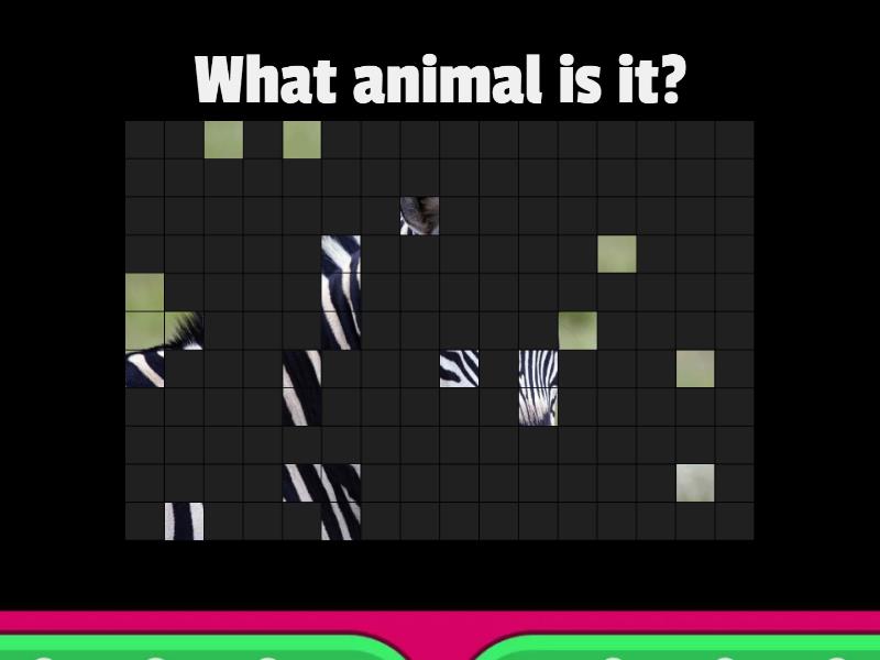 What animal do you see? - Acertijo visual
