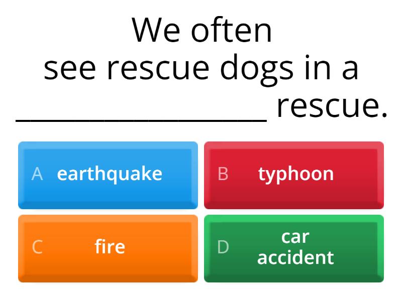 G8 Lesson 4 Reading (T/F) Rescue Dogs - Quiz