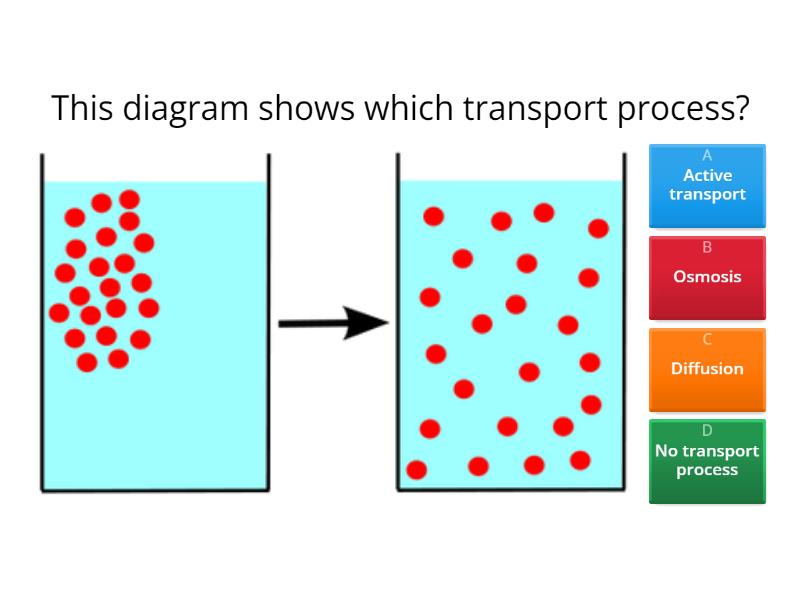 Osmosis, Diffusion and Active transport - Quiz
