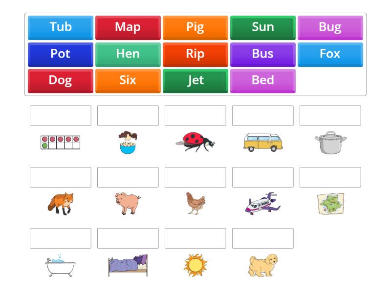 Mixed CVC Short Vowel Sounds - Match up