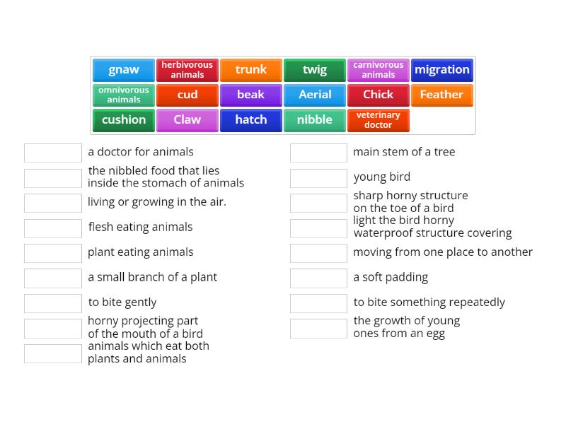 GRADE - 3 BIRDS AND THEIR NESTS , FEEDING HABITS OF ANIMALS - Une las ...
