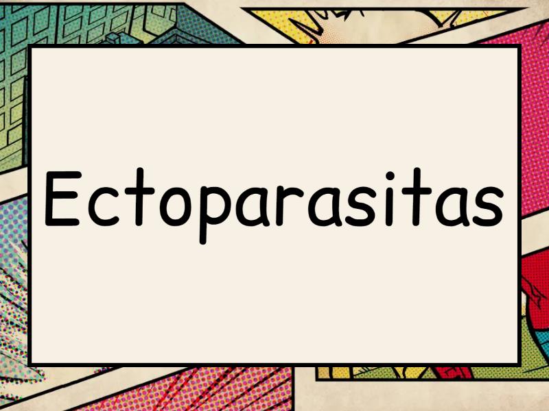 Guarda na Cuca - Parasitologia Humana - Fiches de révision