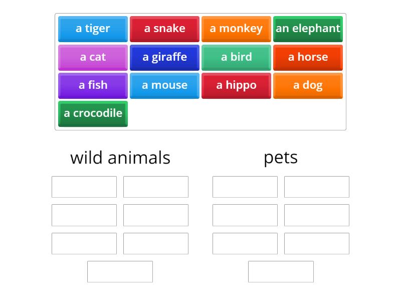 Kid's box 1 UNIT 7 PET vs WILD ANIMALS - Group sort