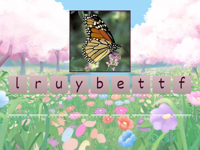 Spring Vocabulary - Anagram