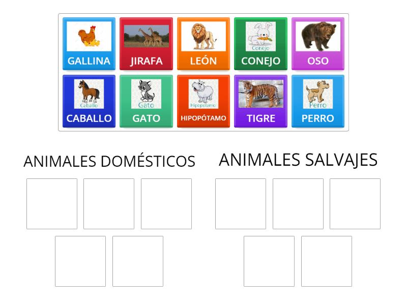ANIMALES SALVAJES Y DOMÉSTICOS - Ordenar por grupo