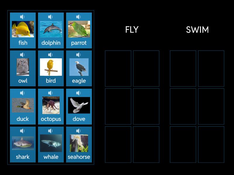 Fly or Swim? - Group sort