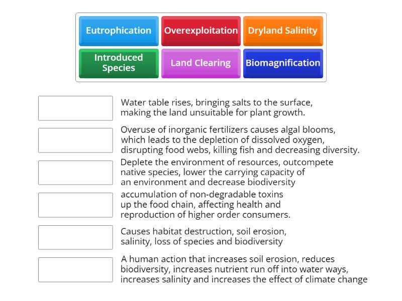 Human activities and their Impacts - Une las parejas
