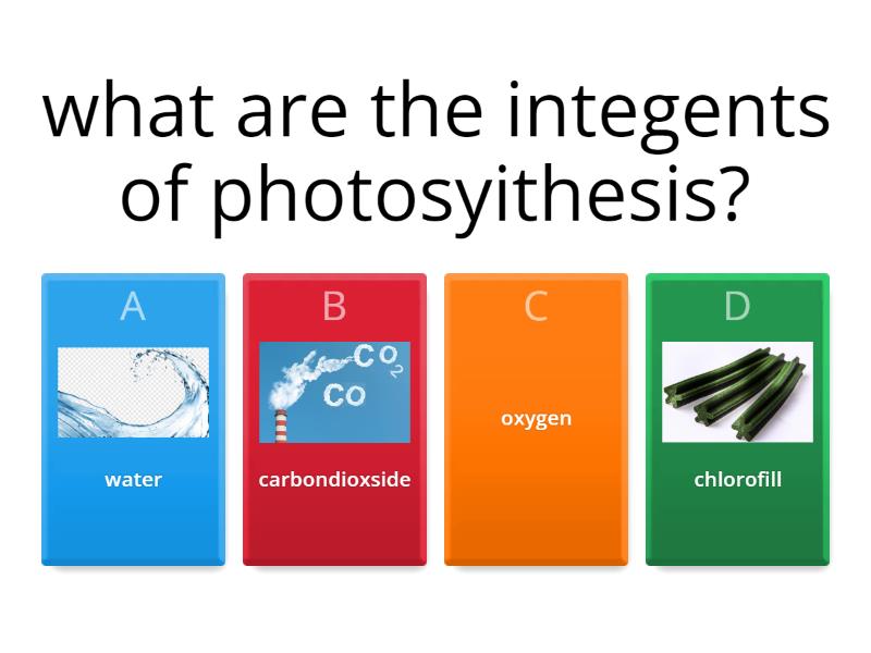 Science grade 6 - Quiz