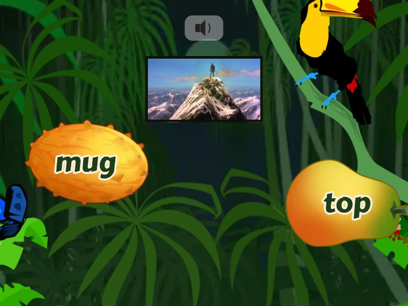 SF2 Phonics -ap -op -ag -ug - Flying fruit