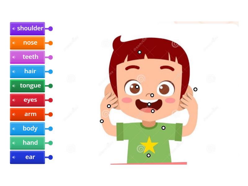 head and body parts (3rd grade) by miss dhuha abdullah - Labelled diagram