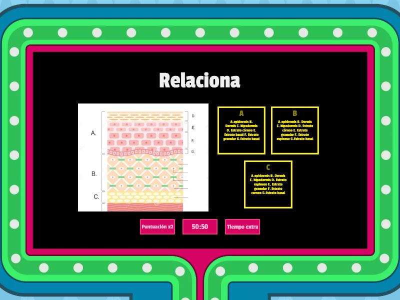 CLEMPS 1. Lesiones elementales - Concurso de preguntas
