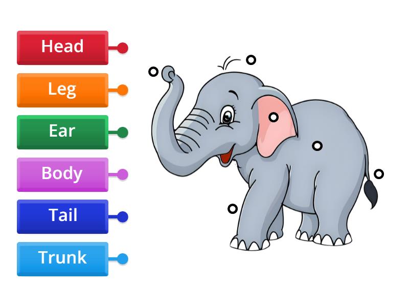 Part Body of Animal - Labelled diagram