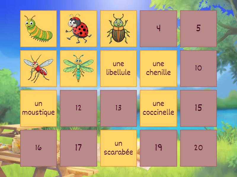 Je peux compter - les insectes - Matching pairs