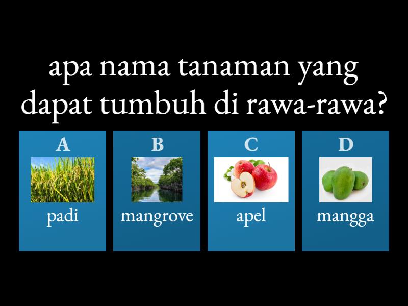 ipa - Quiz
